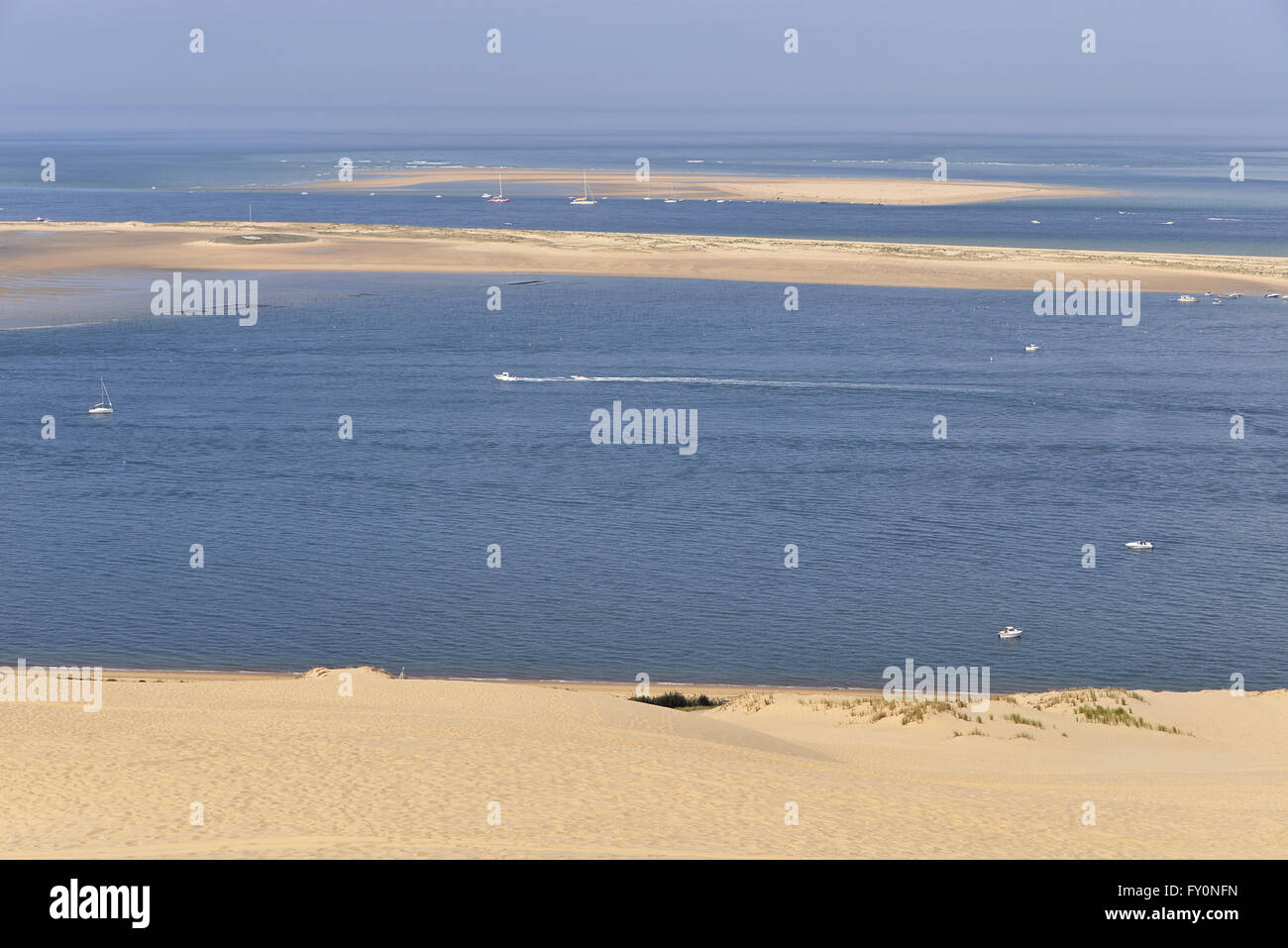 Arguin hi-res stock photography and images - Alamy