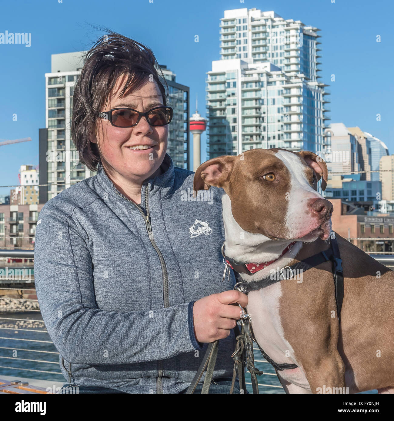 Female pitbull hi-res stock photography and images - Alamy