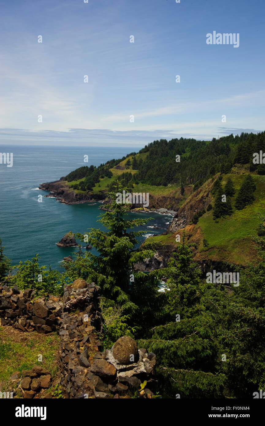 Oregon Coast lush green hills flowing to the Pacific Ocean. Rocky Coast ...