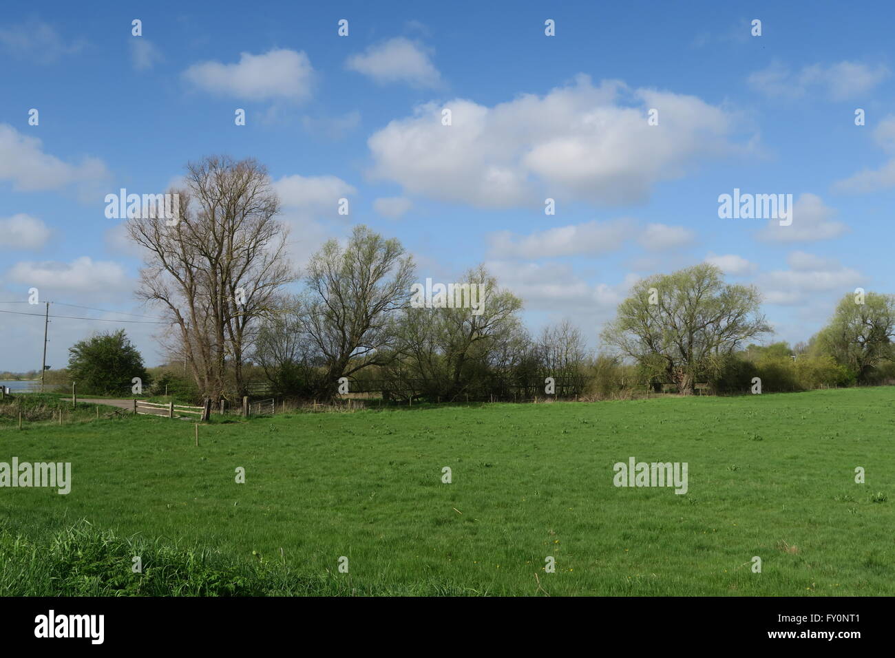 The Ouse Washes at Sutton Gault in spring Stock Photo - Alamy