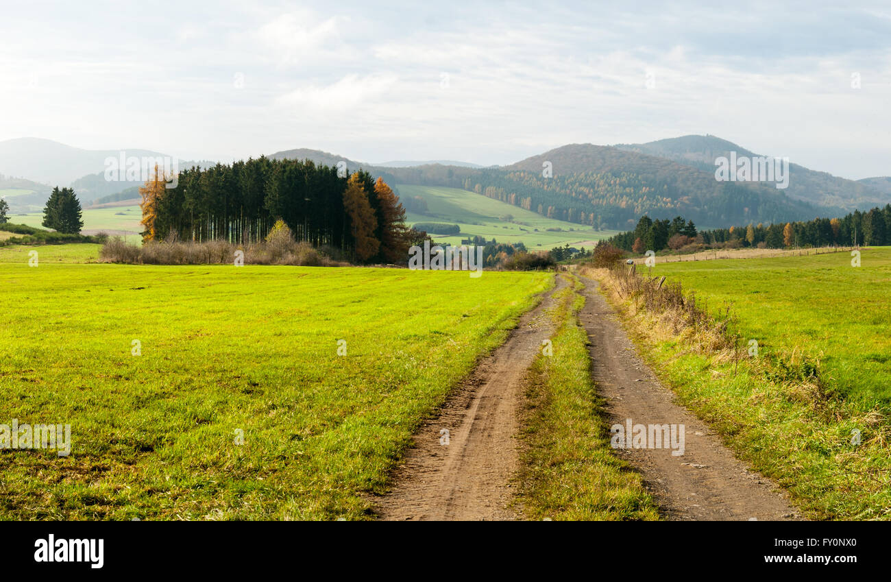 Trail in the nature reserve Gelängebach in Medebach in the Sauerland ...