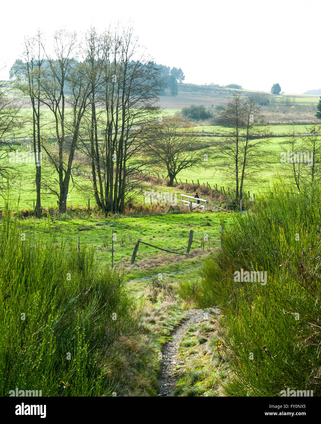 View on the valley of Gelängebach and Little Kormecke in Medebach ...