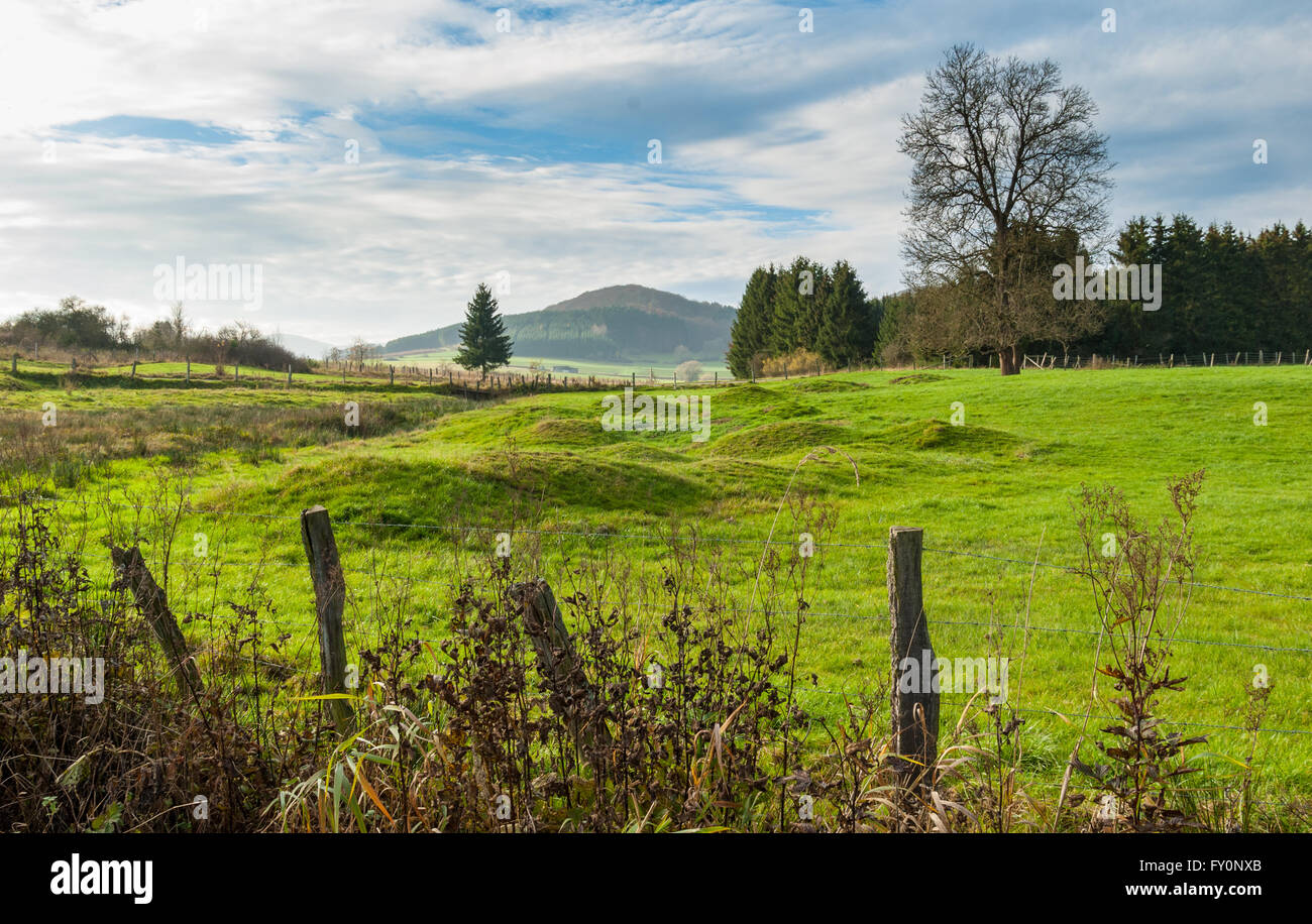 Meadow with mounds at the nature reserve Valley of Gelängebach in ...