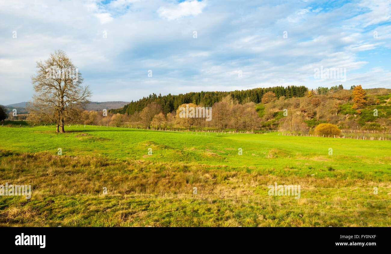 Meadow with mounds at the nature reserve Valley of Gelängebach in ...