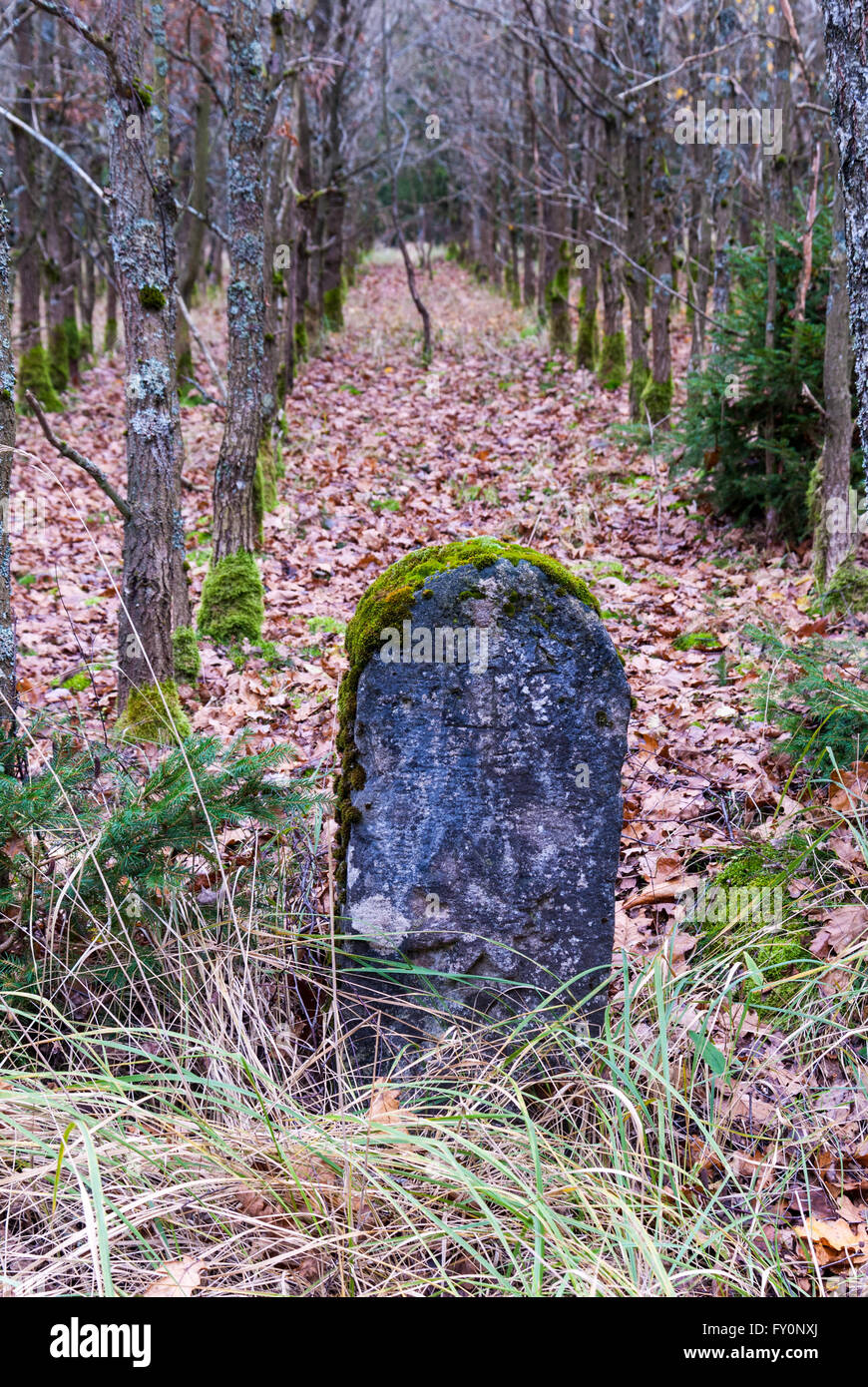 Hesse border hi-res stock photography and images - Alamy