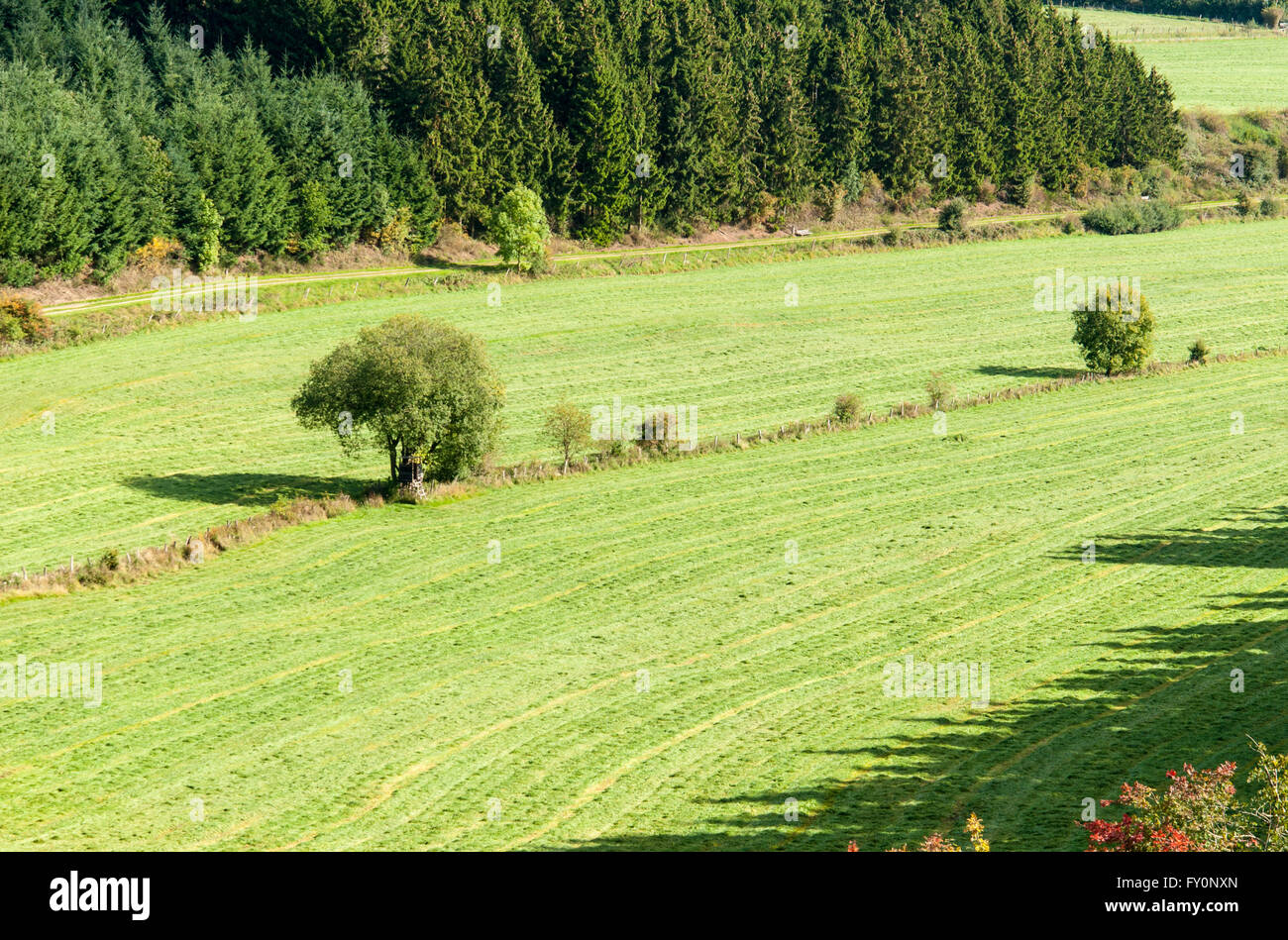 View of a valley at Mount Bromberg in Medebach, Sauerland, Germany ...