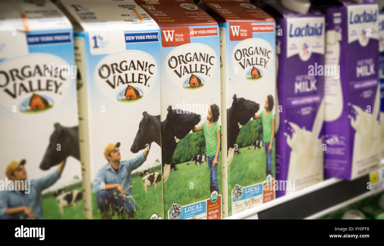 Containers of whole and reduced fat organic milk in a supermarket in ...