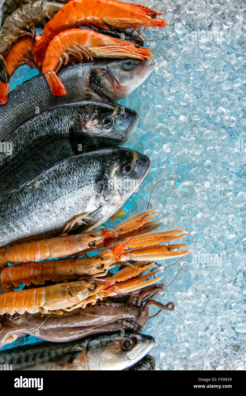 Seafood placed on ice drift Stock Photo - Alamy