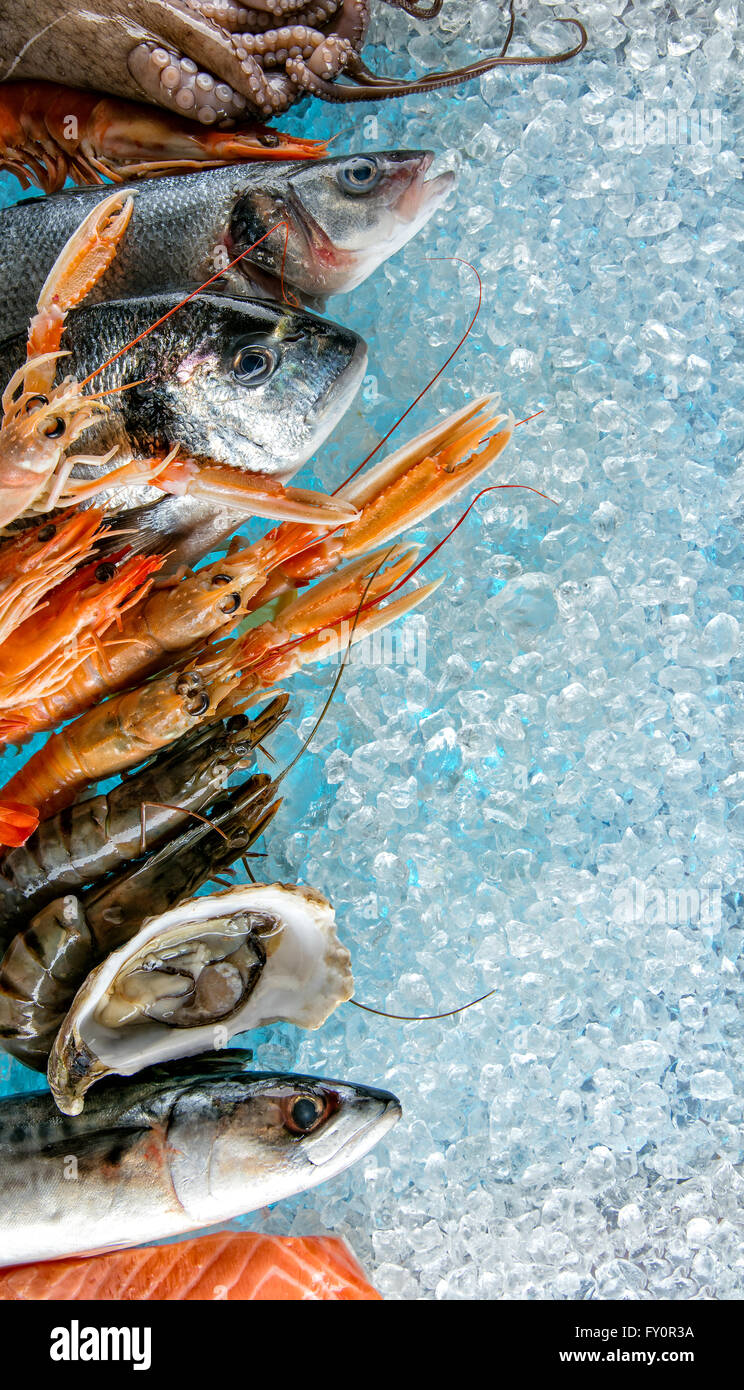Seafood placed on ice drift Stock Photo - Alamy
