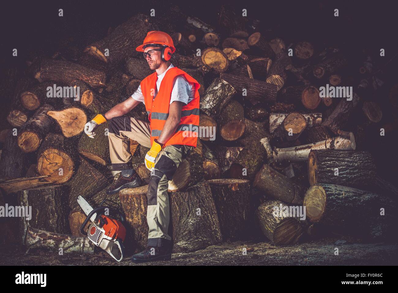 Satisfied Lumber Worker. Timber Industry Concept Photo. Caucasian ...