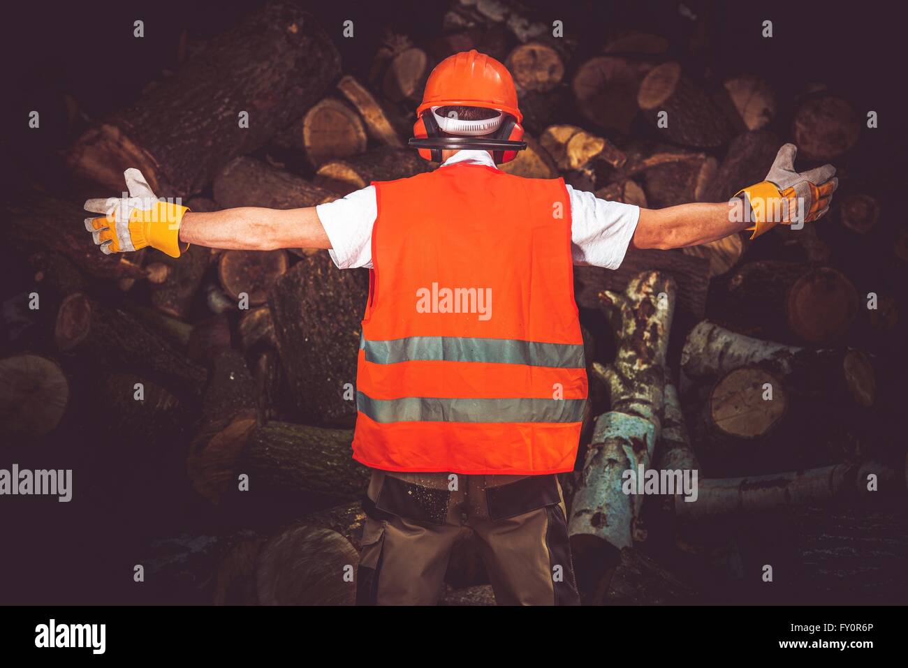 Lumber Worker of the Month Showing All Wood Logs He Cut. The Best ...