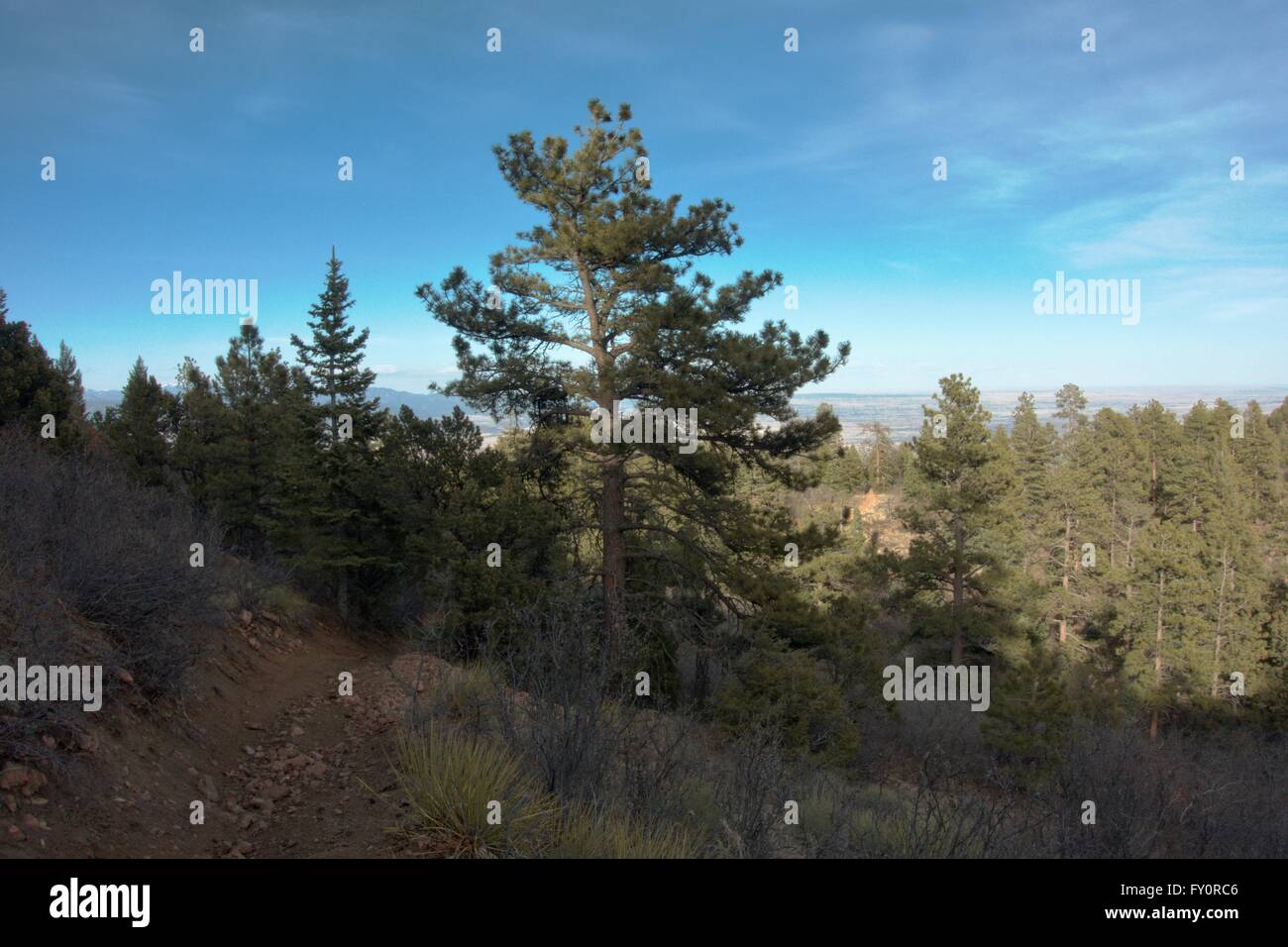 Looking toward the the edge of Colorado's Front Range Stock Photo - Alamy