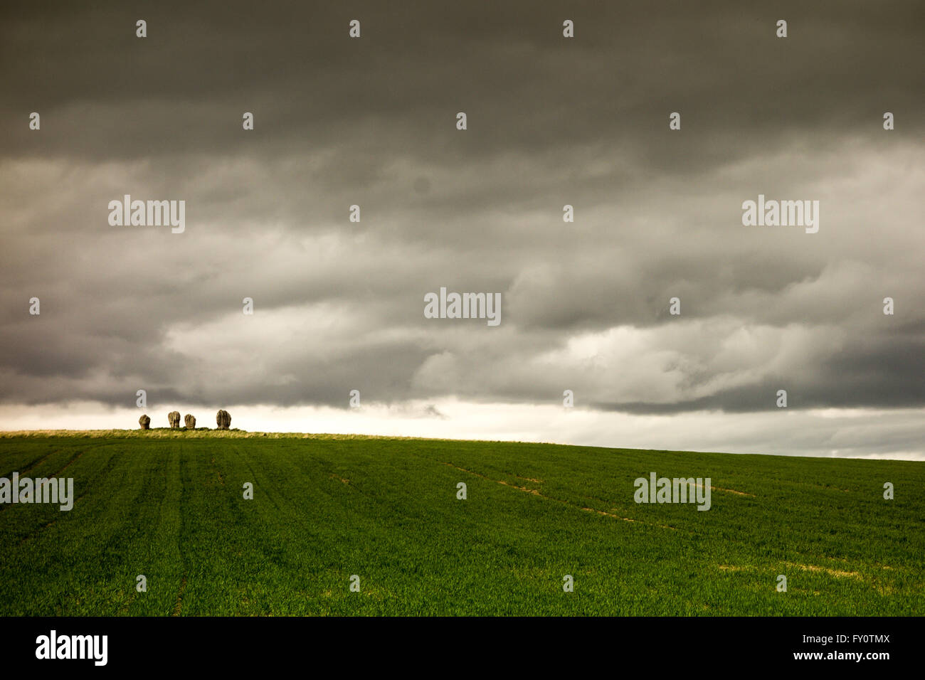 Duddo stone circle Northumberland, Neolithic Stock Photo - Alamy