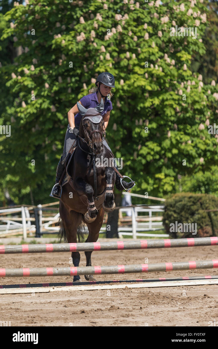 Front view of beautiful blond horsewoman jumping over the hurdle Stock ...