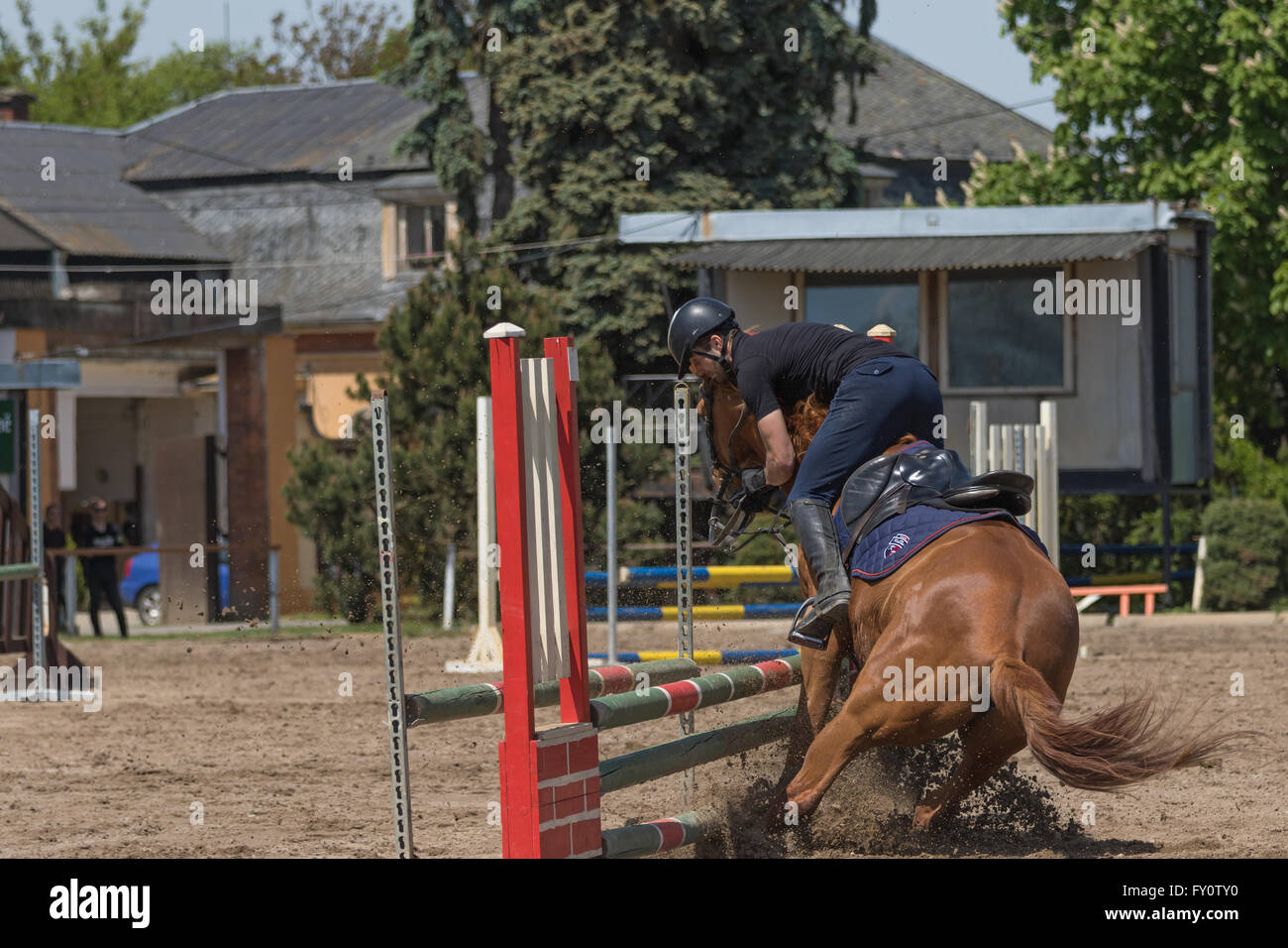 The brown horse is refusing to jump an obstacle Stock Photo - Alamy