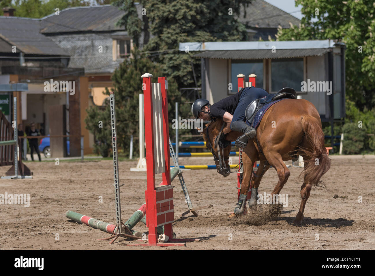 Refuse horse hi-res stock photography and images - Alamy
