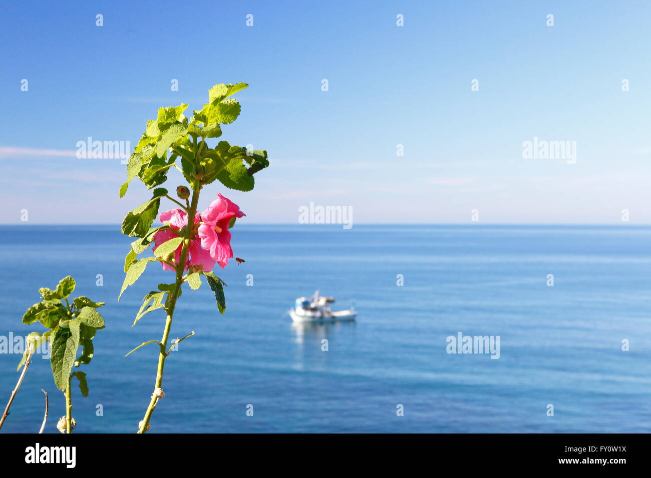The morning light over the sea Stock Photo - Alamy