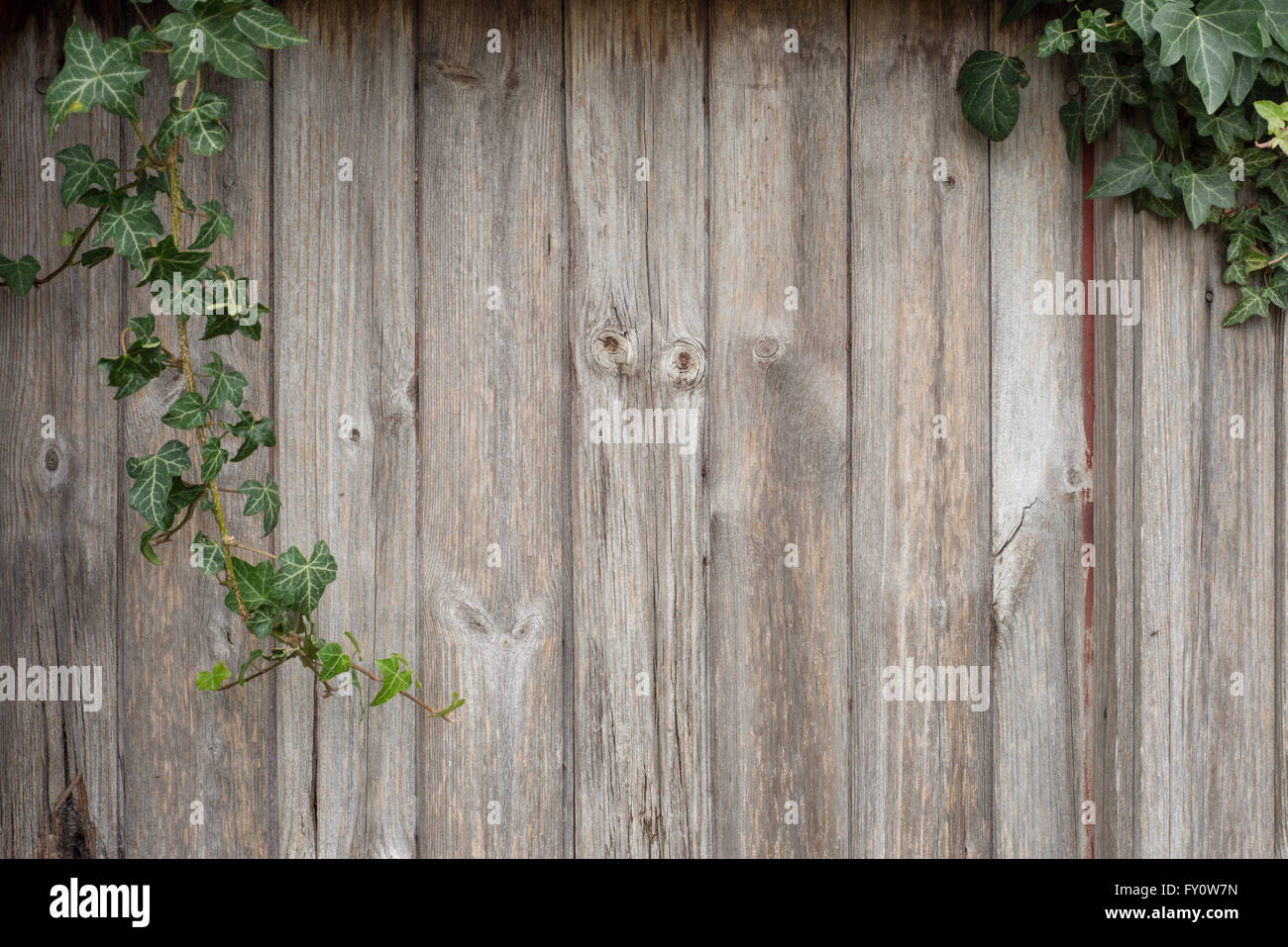 Border wall panel hi-res stock photography and images - Alamy