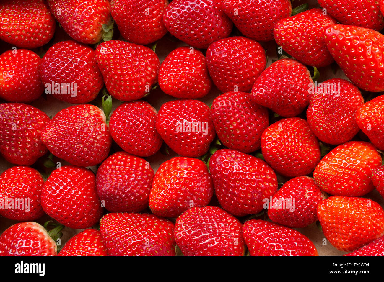 View of freshly picked strawberries Stock Photo - Alamy