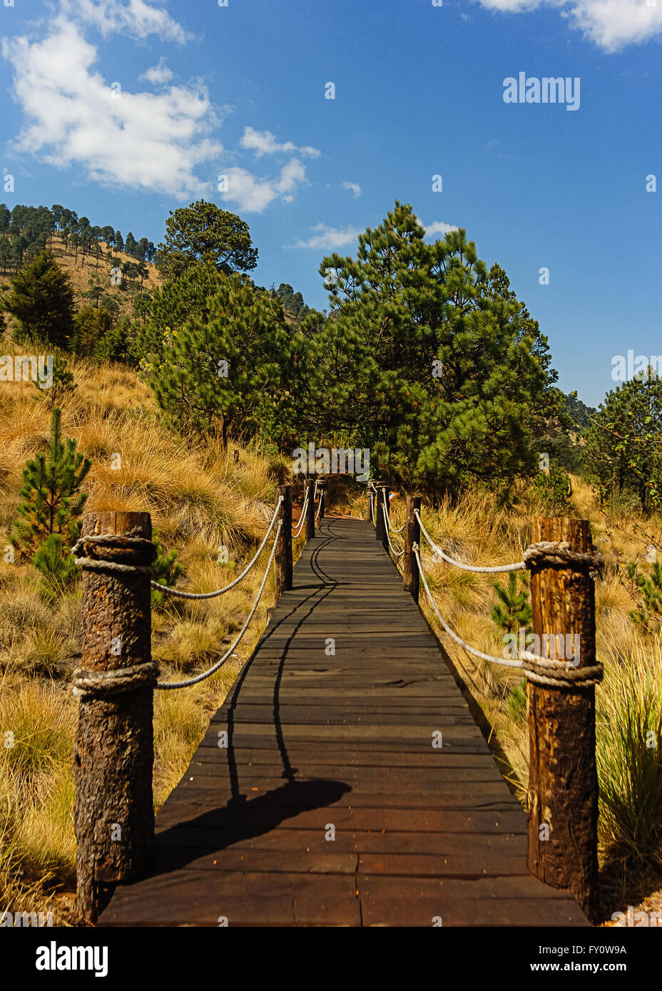 Mexican bridge hi-res stock photography and images - Alamy