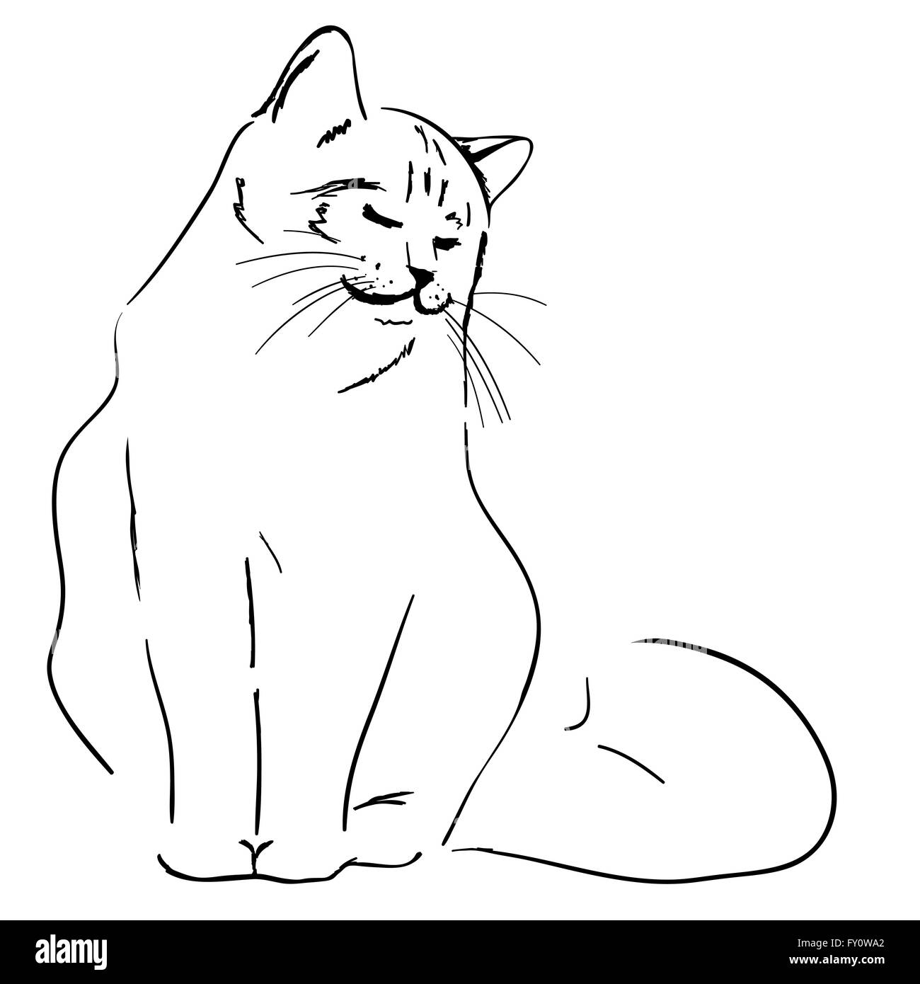 illustration, hand drawn, cat Stock Photo - Alamy