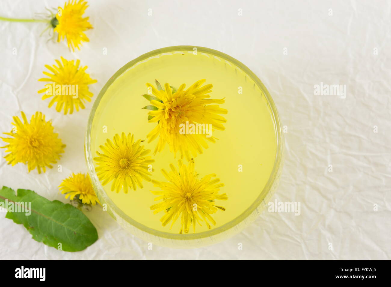 Teacup tree hi-res stock photography and images - Alamy