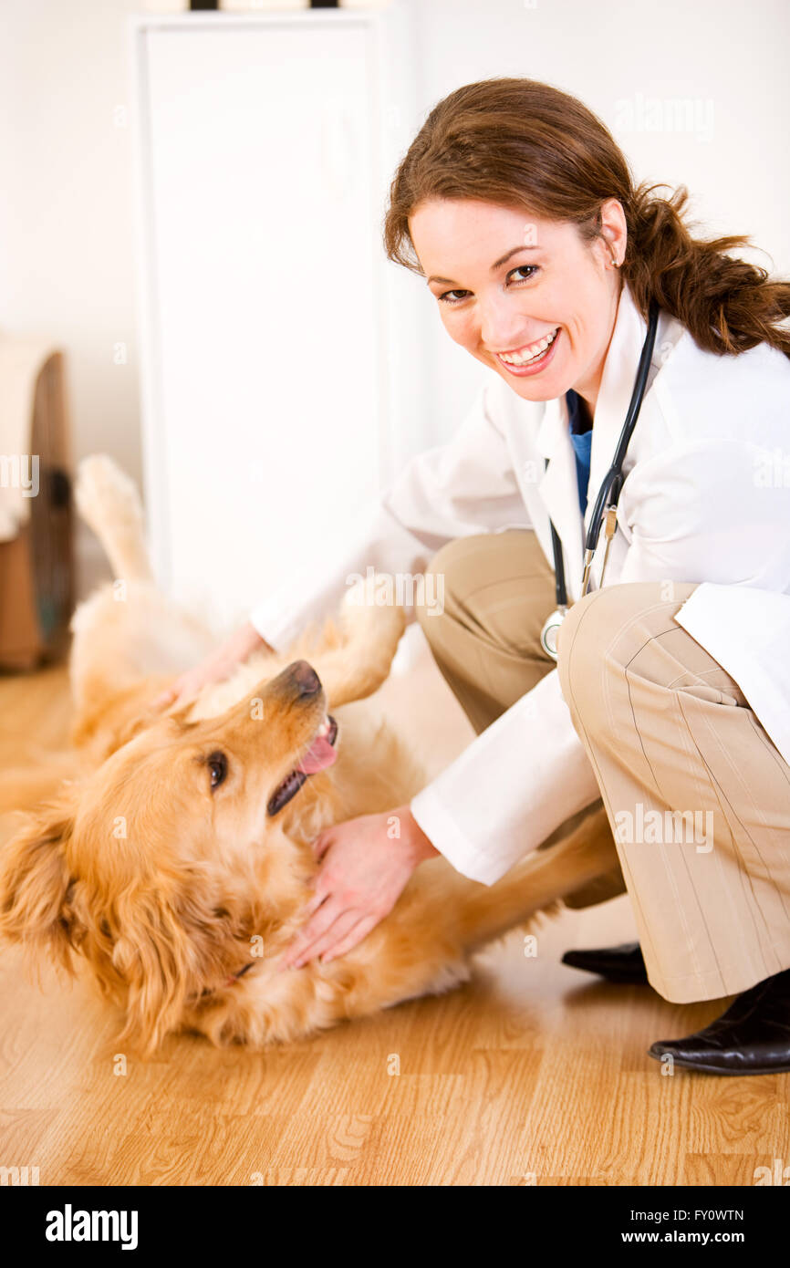 Series set in a Veterinarian's office, with a dog, cat, rabbit and a ...