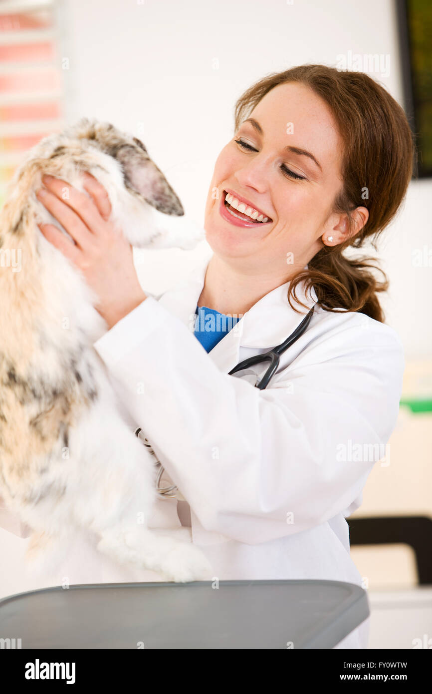 Series set in a Veterinarian's office, with a dog, cat, rabbit and a ...