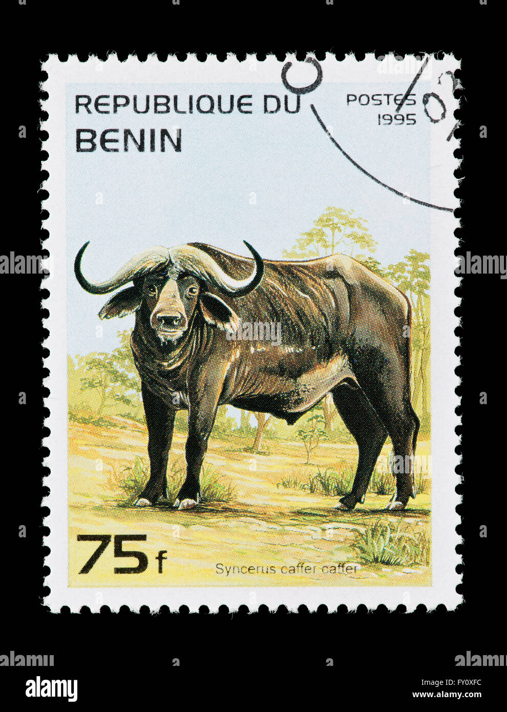 Postage stamp from Benin depicting a African buffalo or Cape buffalo ...