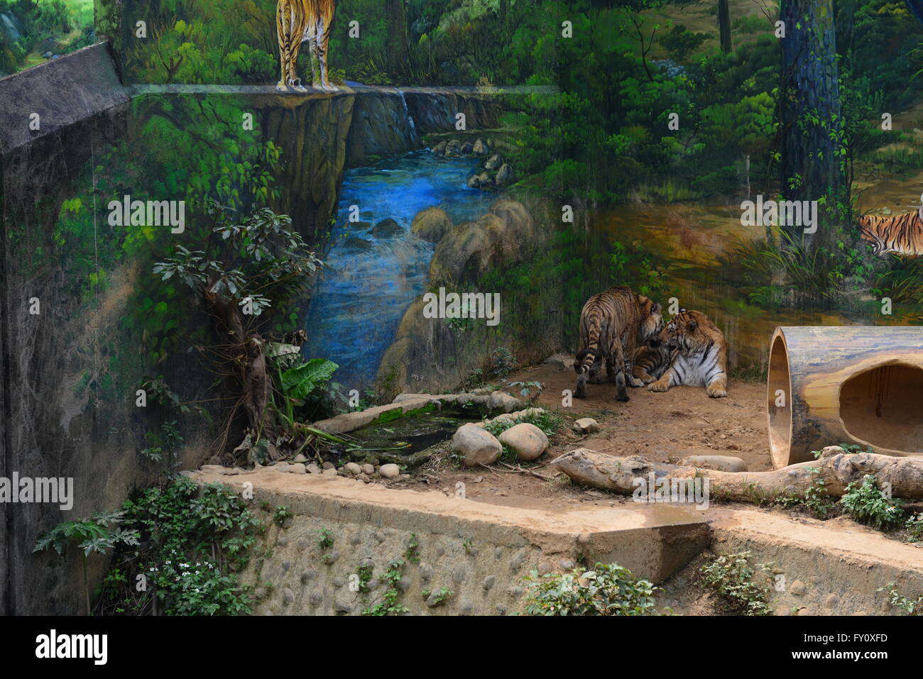 record our life Stock Photo - Alamy