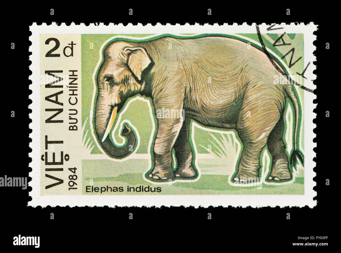 Postage stamp from Vietnam depicting an Indian elephant (Elephas ...