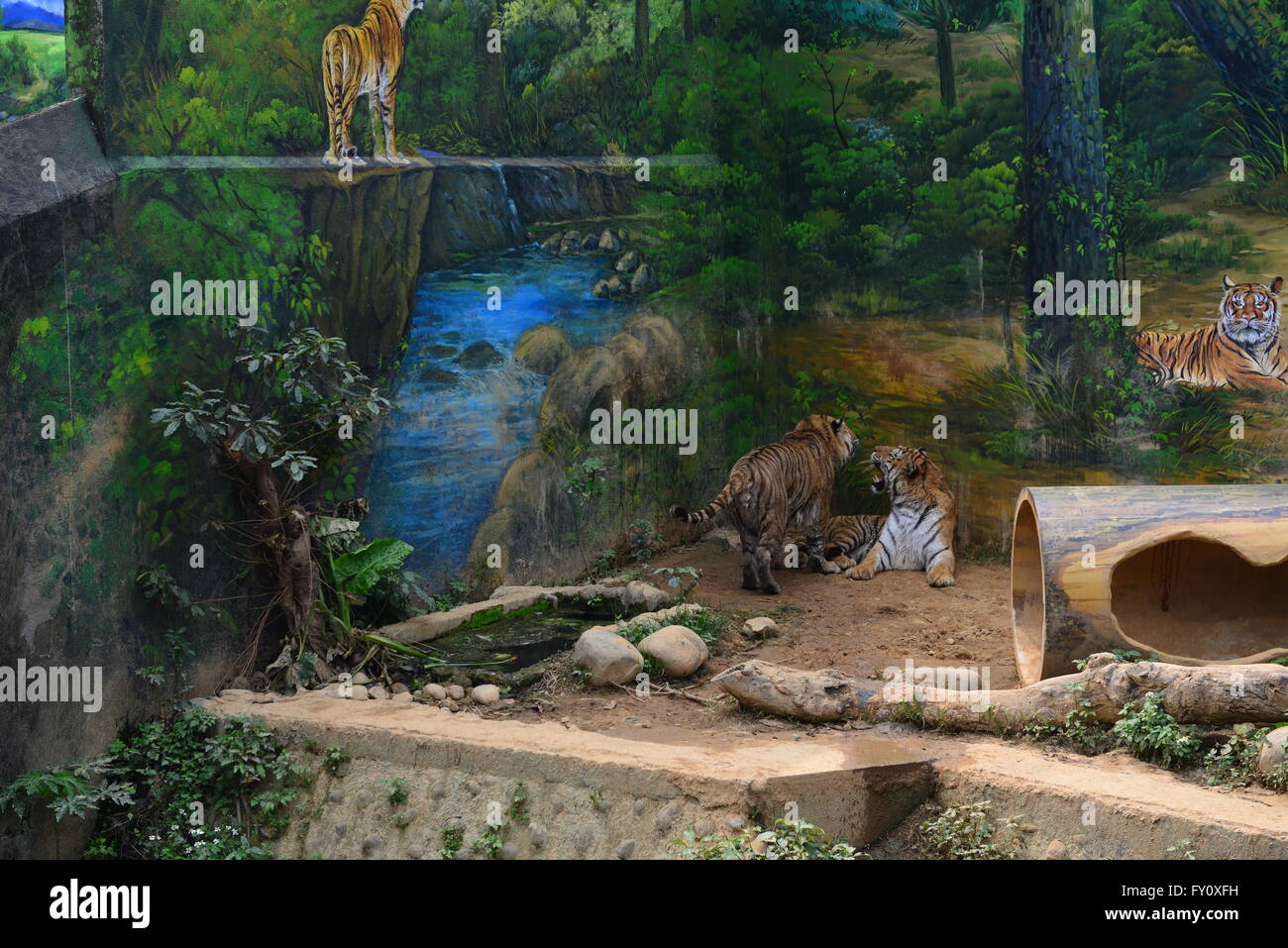 record our life Stock Photo - Alamy