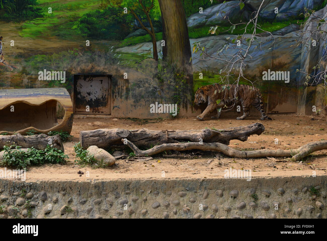 record our life Stock Photo - Alamy