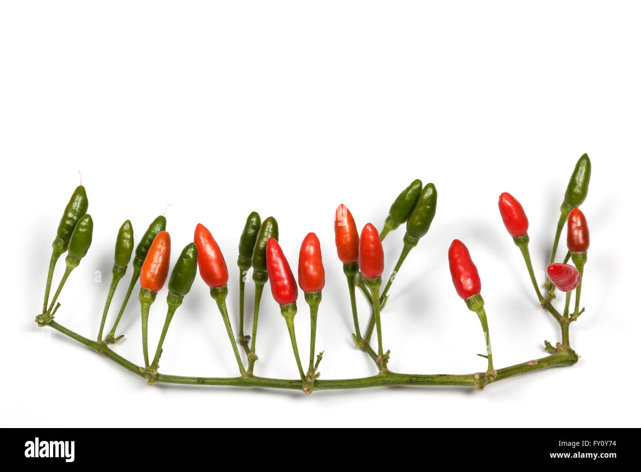 Devil chili Cut Out Stock Images & Pictures - Alamy