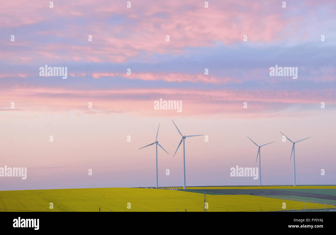 Eolian field and wind turbines at sunset Stock Photo - Alamy