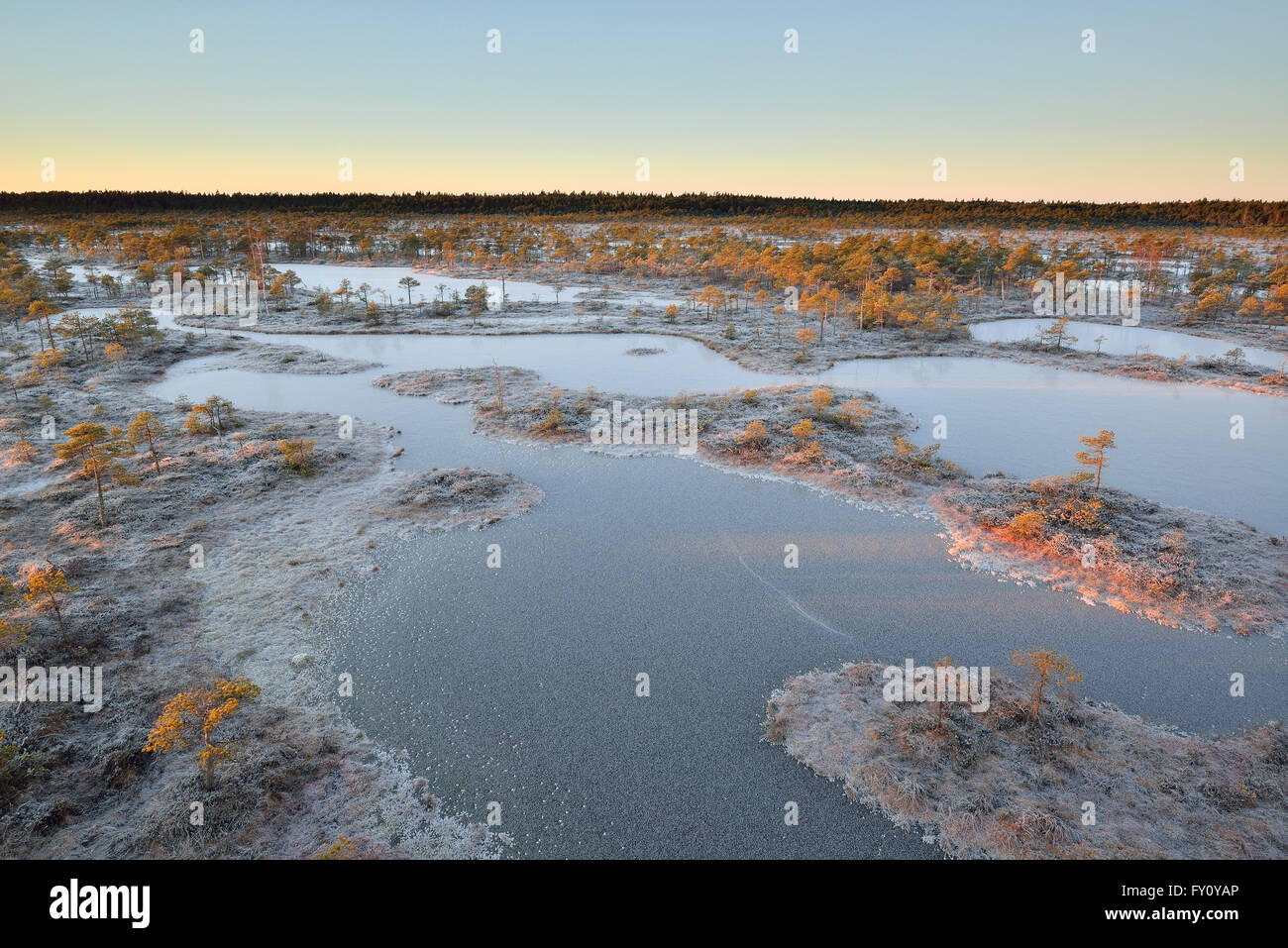 Frozen bog pools in sunrise Stock Photo - Alamy