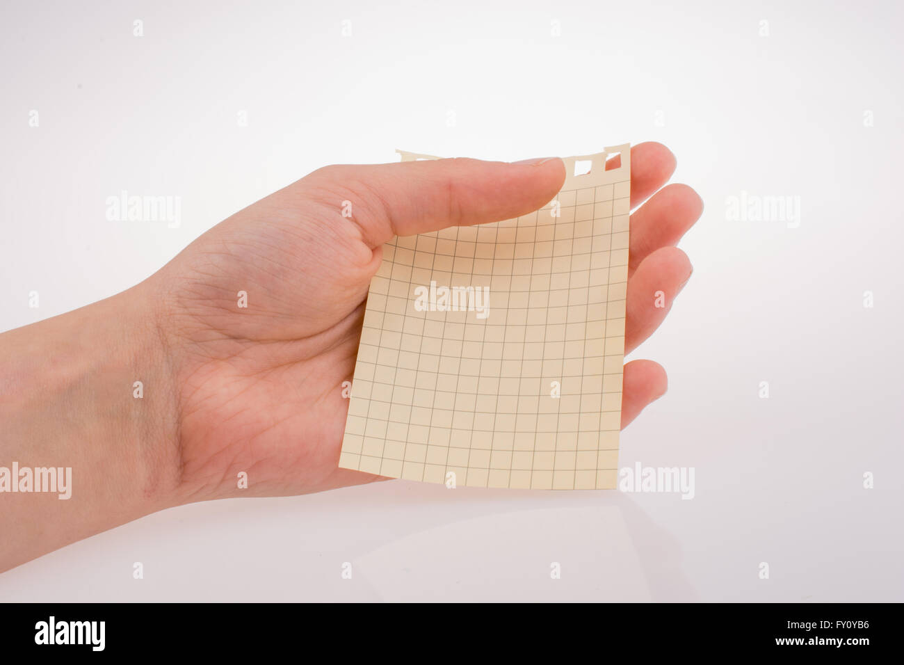 Hand holding a piece of checked paper on a white background Stock Photo ...