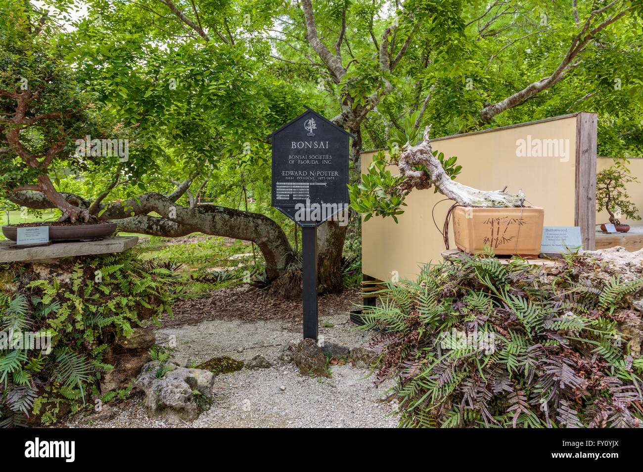 Morikami museum and japanese gardens hi-res stock photography and ...