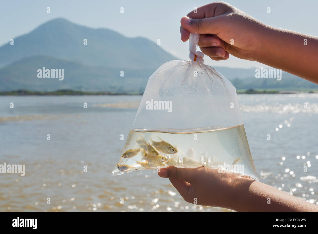 Plastic bag river hi-res stock photography and images - Alamy