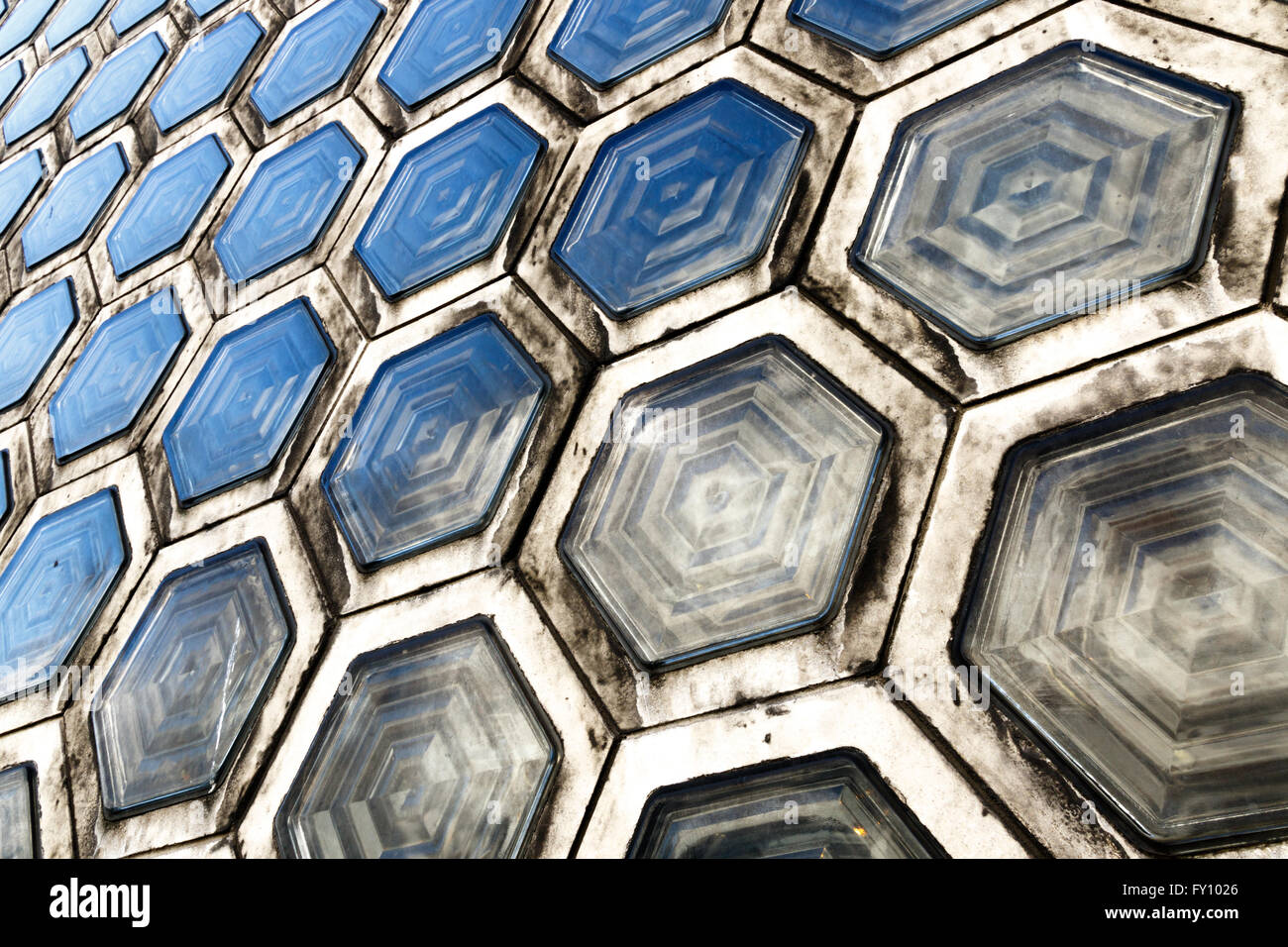 Hexagonal cell texture hi-res stock photography and images - Alamy