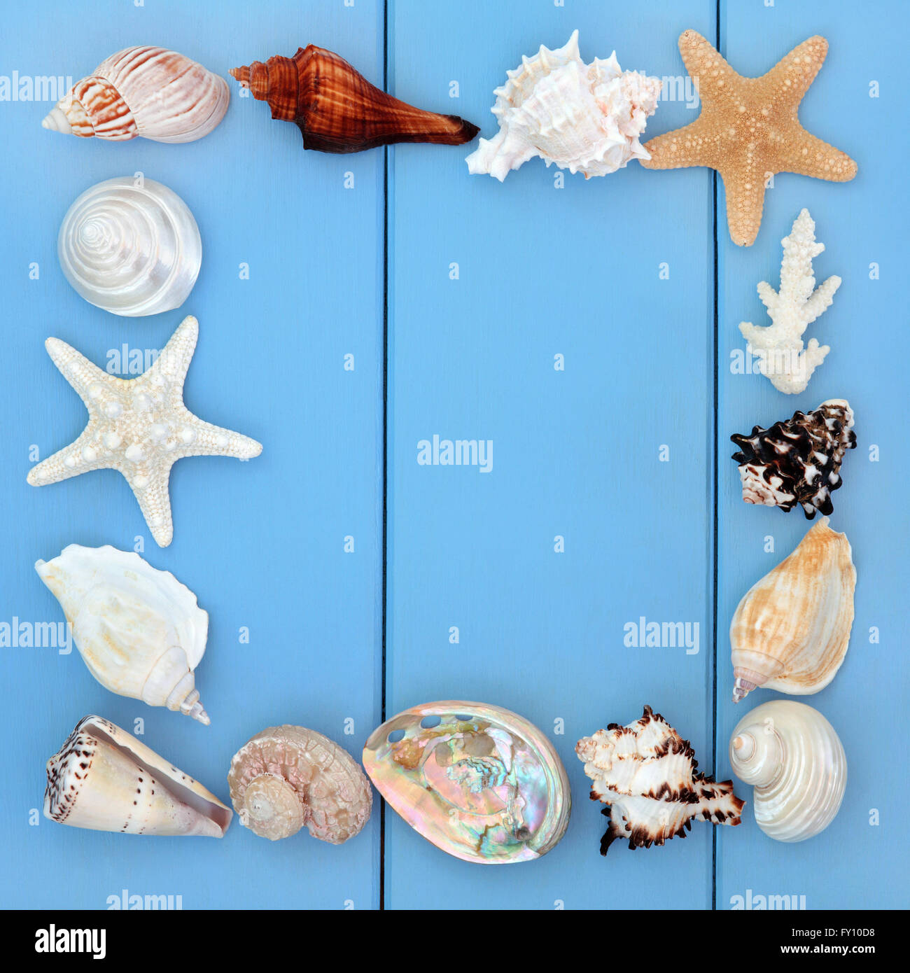 Sea shell collage over wooden blue background Stock Photo - Alamy