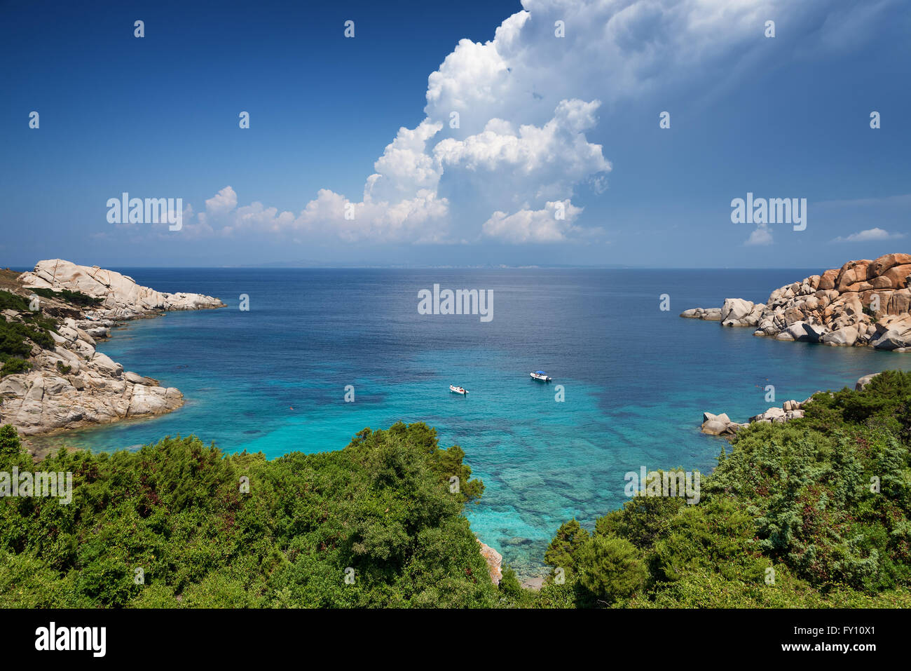 Cala spinosa hi-res stock photography and images - Alamy