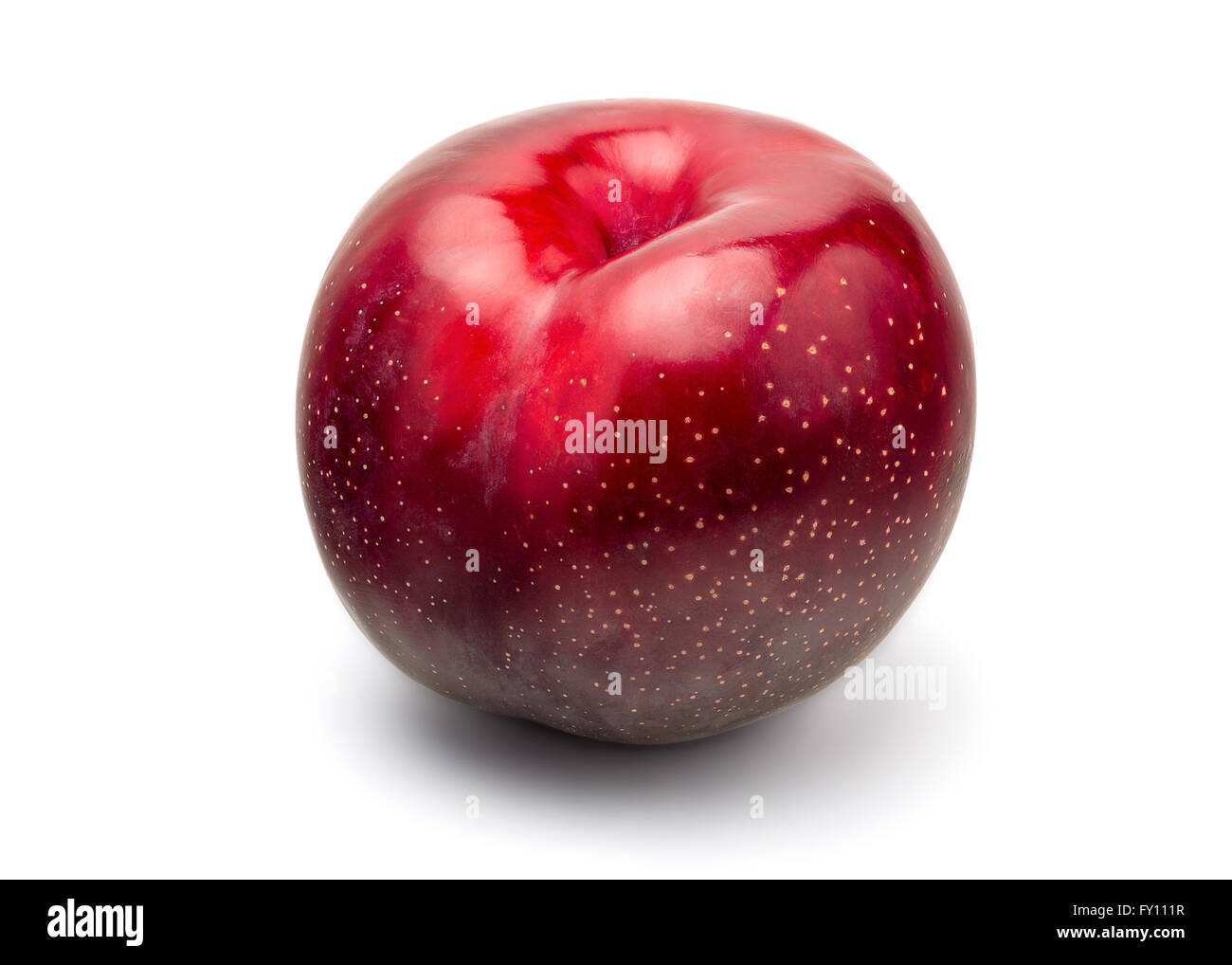 Perfect Fresh Red Plum Isolated on White Background in Full Depth of ...
