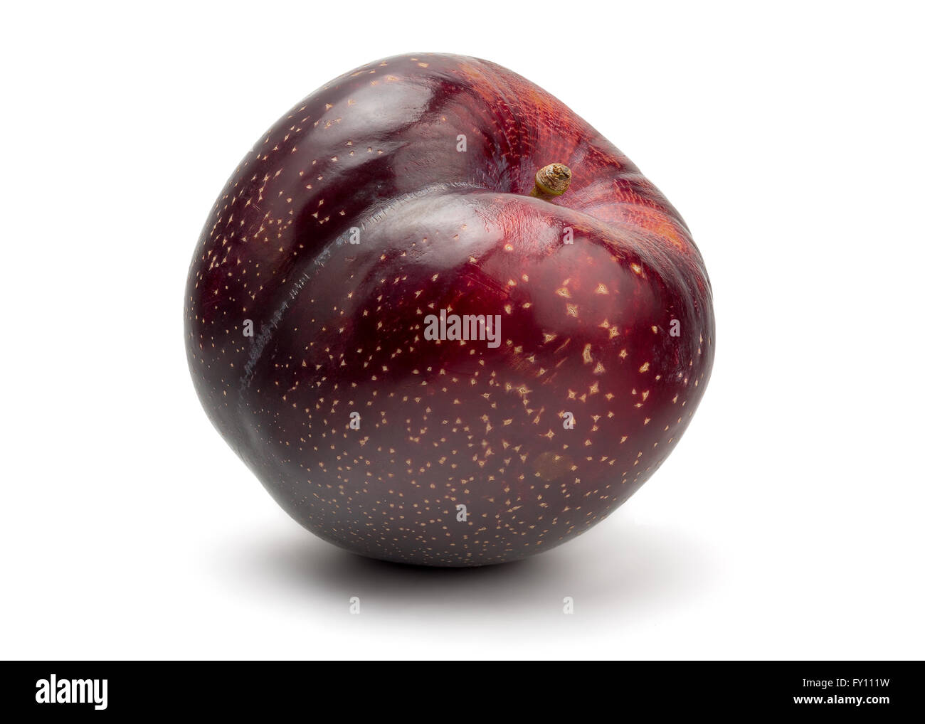Perfect Fresh Red Plum Isolated on White Background in Full Depth of ...
