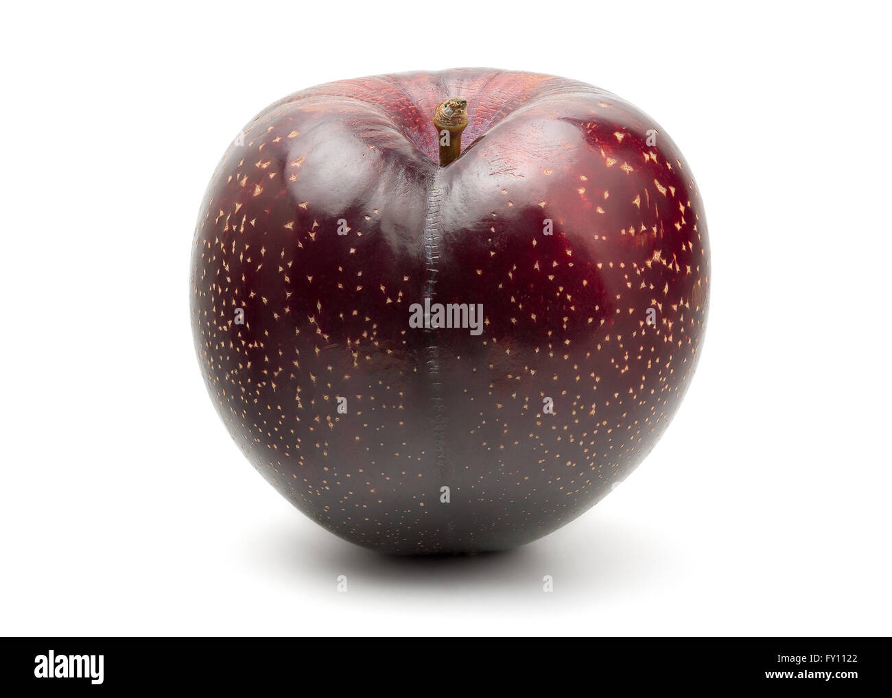 Perfect Fresh Red Plum Isolated on White Background in Full Depth of ...