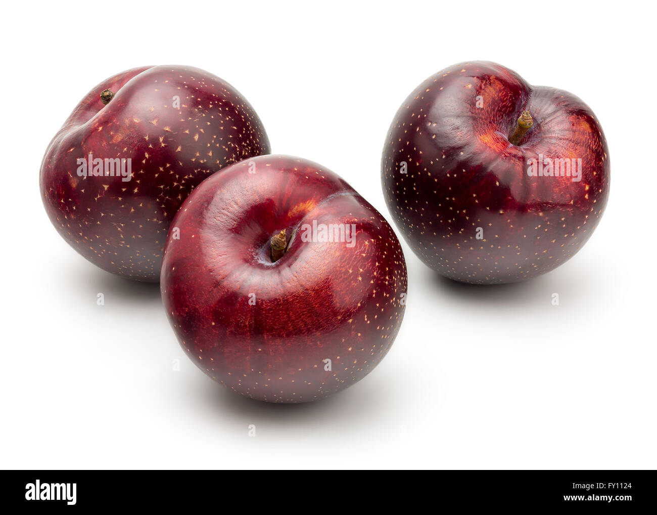 Perfect Fresh Red Plum Isolated on White Background in Full Depth of ...