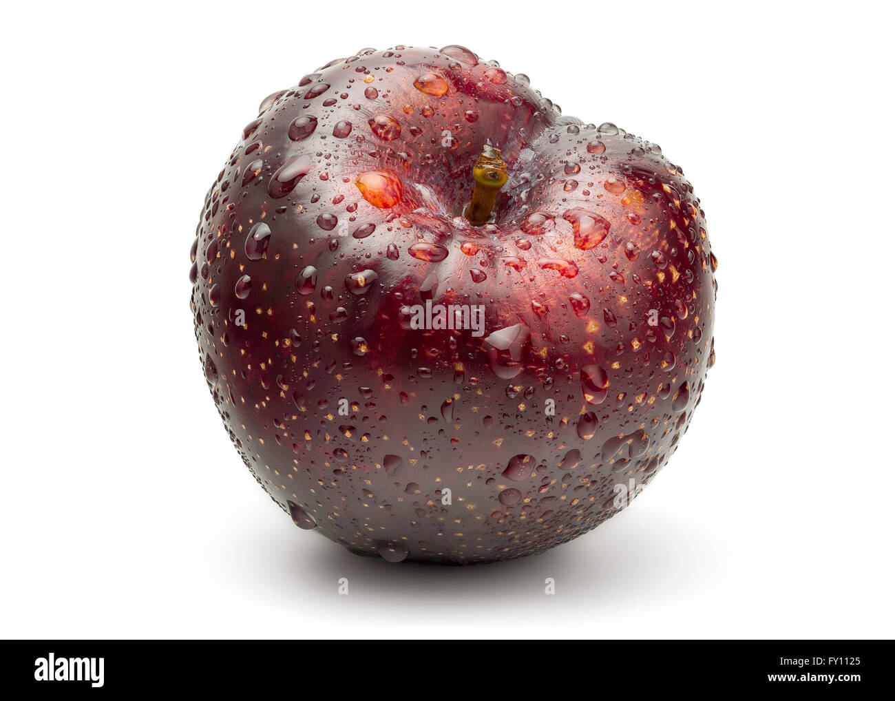 Perfect Fresh Red Plum Isolated on White Background in Full Depth of ...