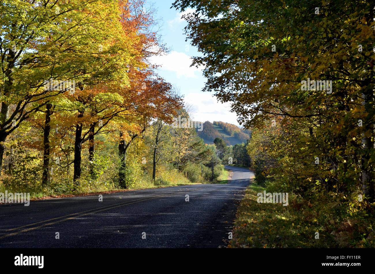 Tree lined road leading to Big Powderhorn Ski resort in Bessemer ...