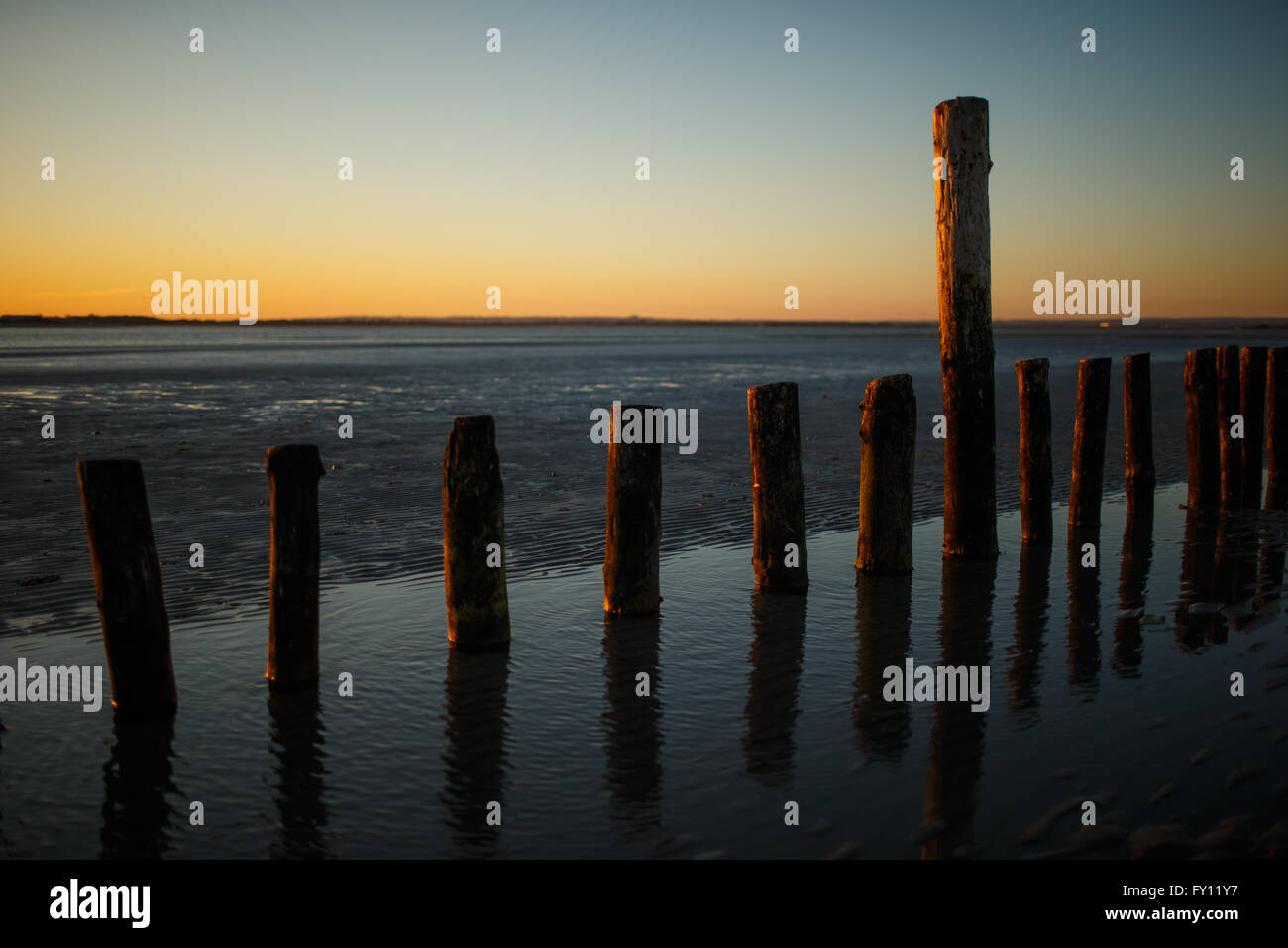 Wooden groynes on a beach at sunset in West Wittering, United Kingdom ...