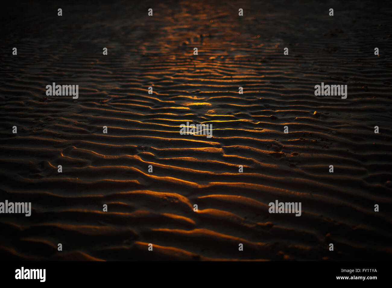 Ripples in sand on a beach Stock Photo - Alamy